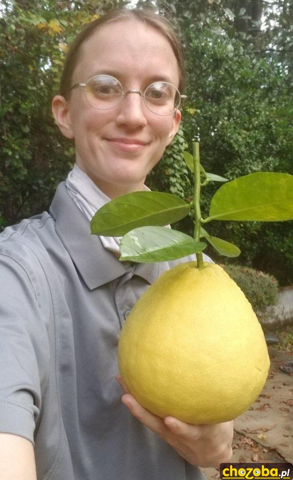 Cytrynka - ChoZoba.pl - śmieszne obrazki, gify, filmy, zdjęcia, memy ...