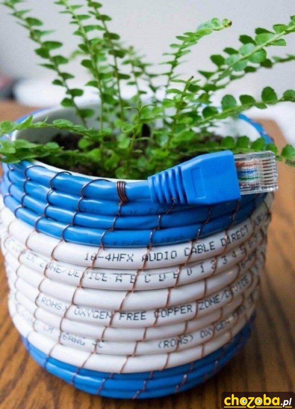 Kwiatek informatyka - ChoZoba.pl - śmieszne obrazki, gify, filmy, zdjęcia, memy, laski.