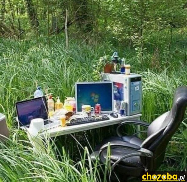 Biuro w plenerze - ChoZoba.pl - śmieszne obrazki, gify, filmy, zdjęcia ...