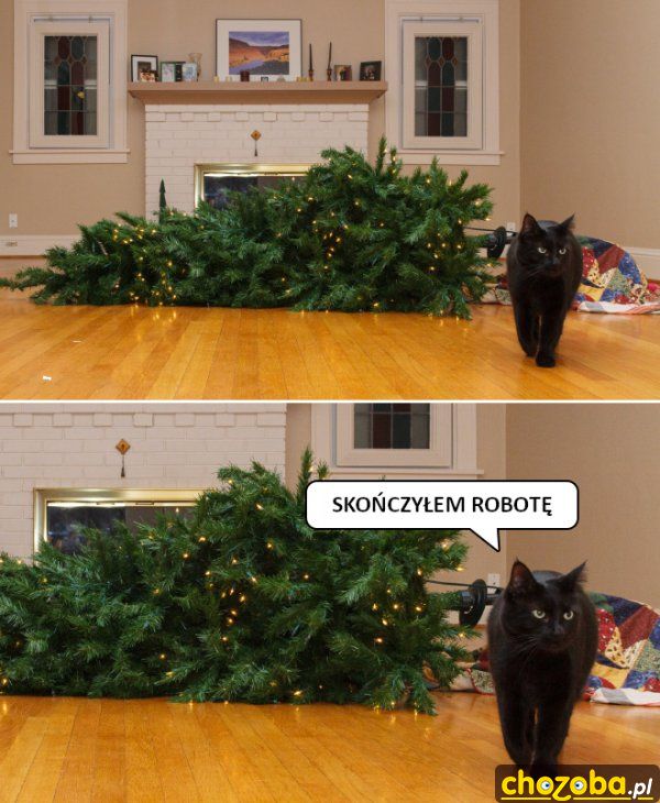 Zadanie wykonane - ChoZoba.pl - śmieszne obrazki, gify, filmy, zdjęcia, memy, laski.