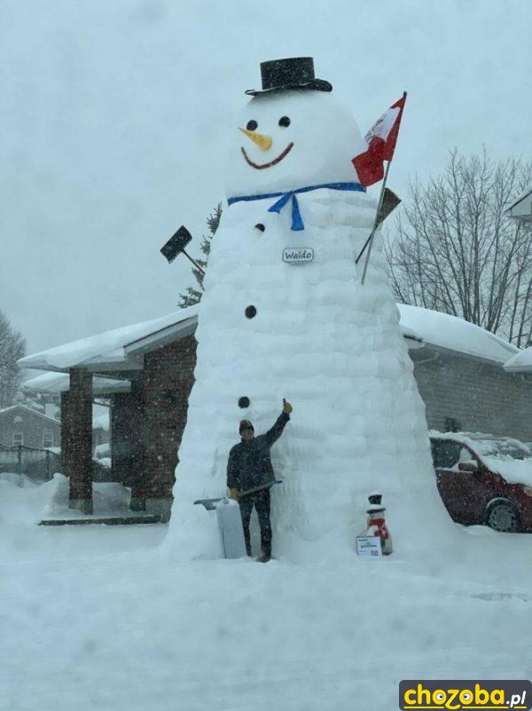 Wąż niszczy busa - ChoZoba.pl - śmieszne obrazki, gify, filmy, zdjęcia ...